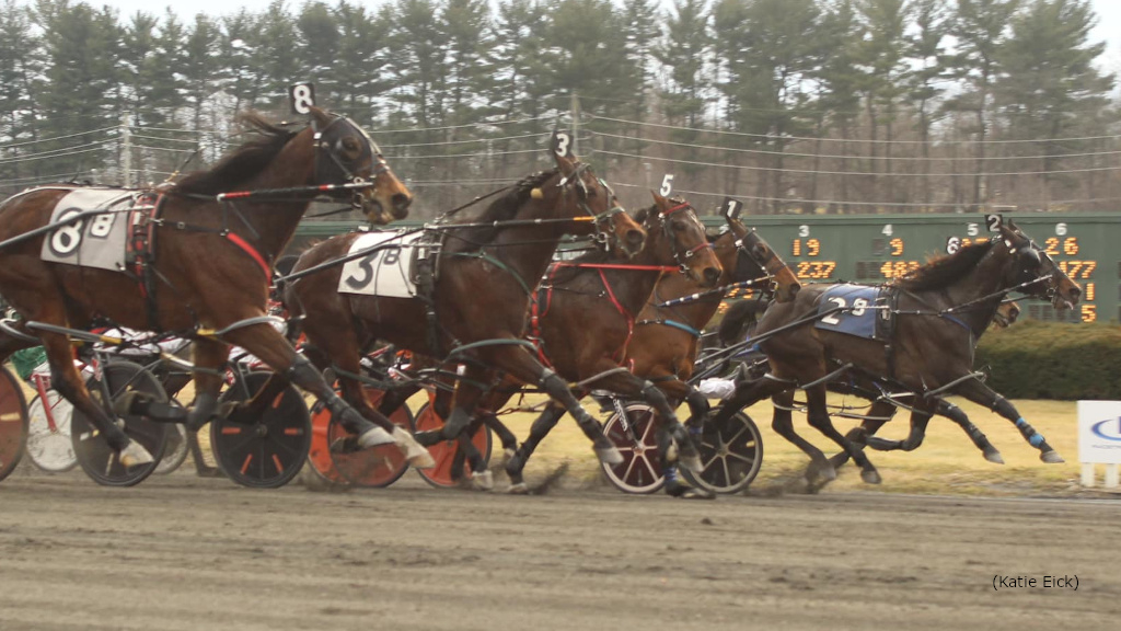 Big Stretch Mark Upsets In Freehold Preferred | Standardbred Canada